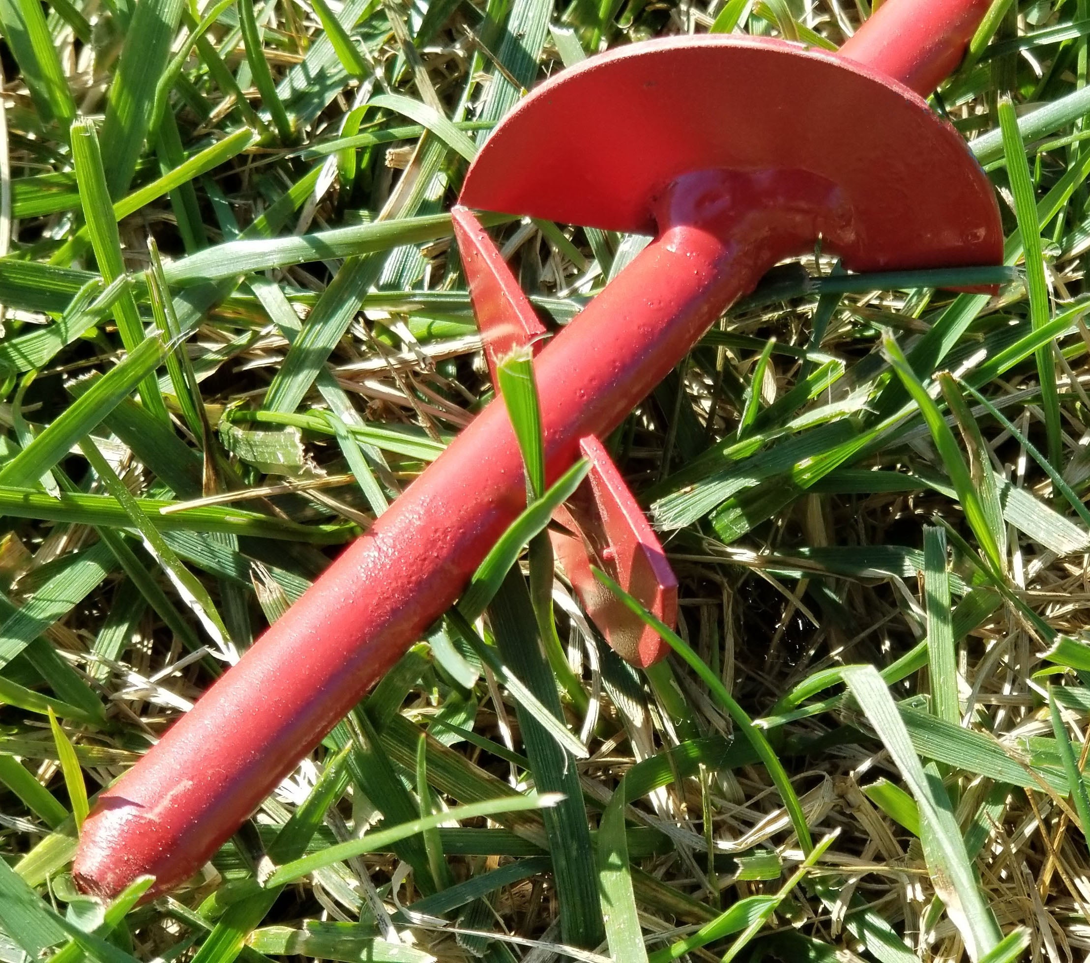 Products - ZoysiaPlug.com